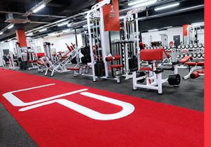 Personal Trainer Washington DC | Personal Training Washington DC | U.P. USA