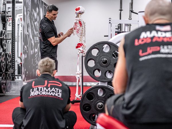 Our Personal Trainers | Fitness Coaches | Ultimate Performance