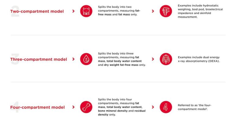 Male Body Fat Percentage Comparison [Visual Guide] | Ultimate Performance
