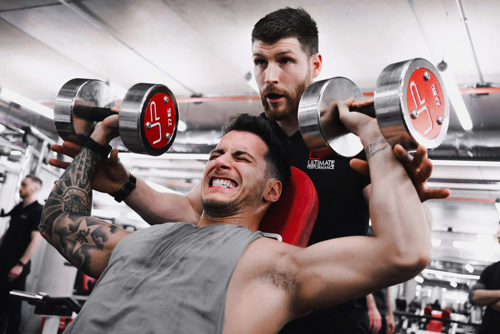 Muscle Building | Increase Muscle Mass & Strength Training | Ultimate ...