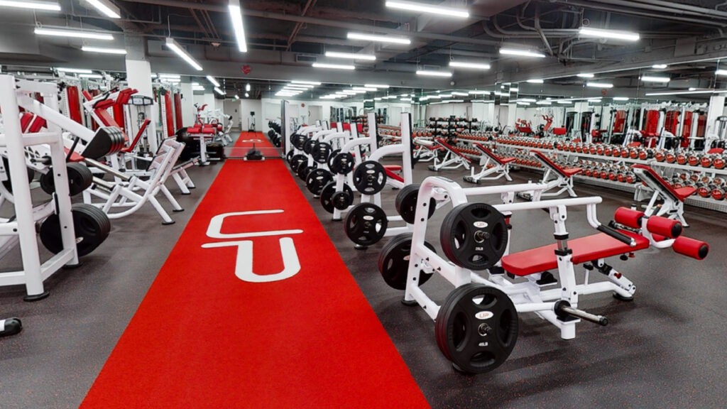 Company History | Ultimate Performance