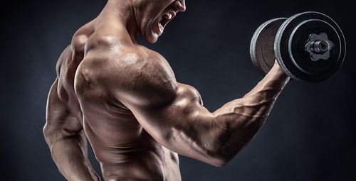 Best Rep Ranges for Building Muscle | Ultimate Performance Blog