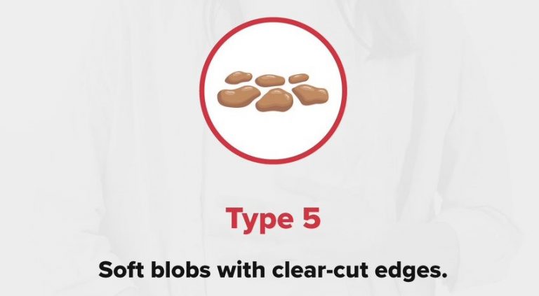 The Bristol Stool Chart: Is your stool healthy? | Ultimate Performance Blog