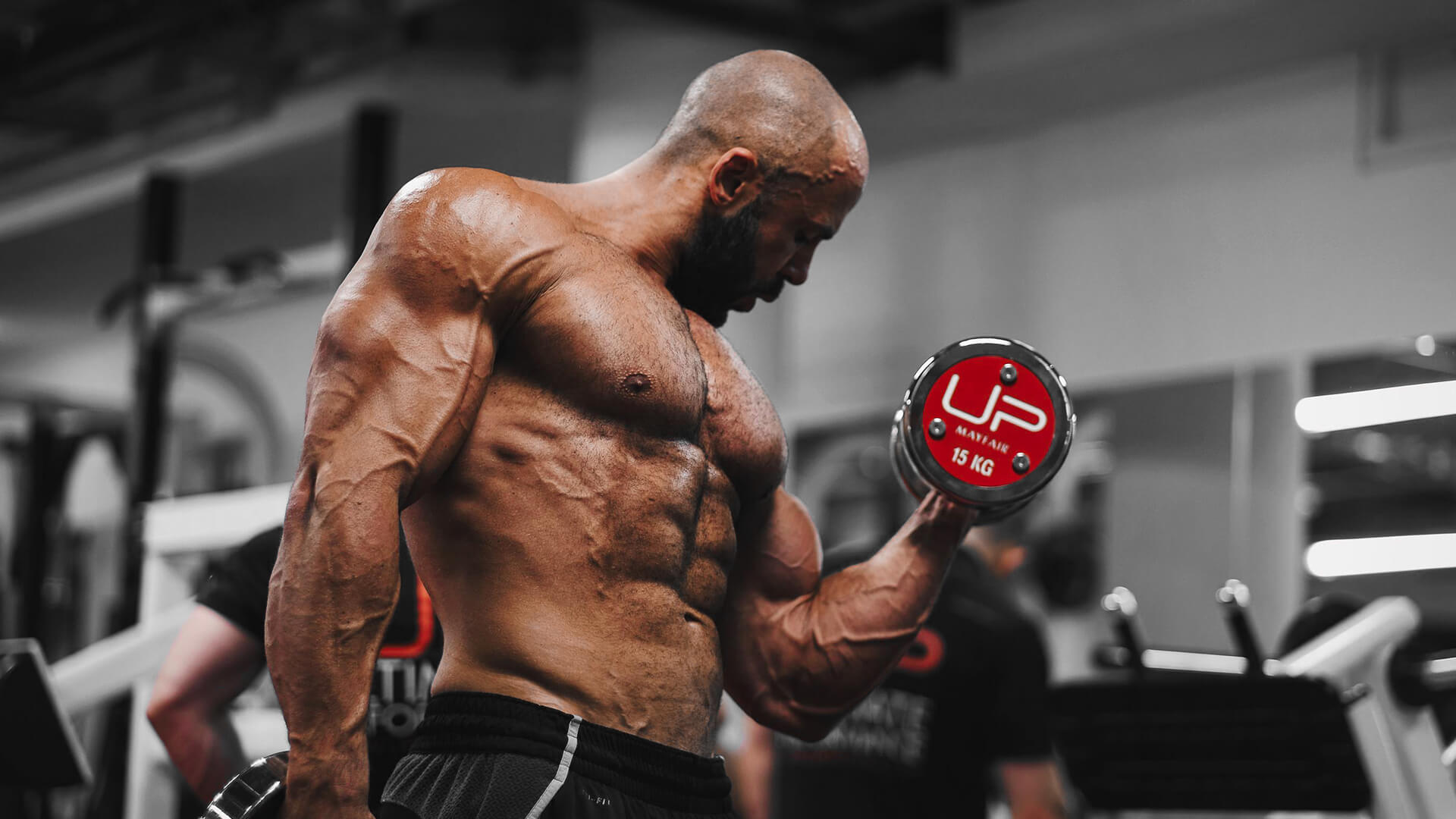 Build Muscle | U.P Blog