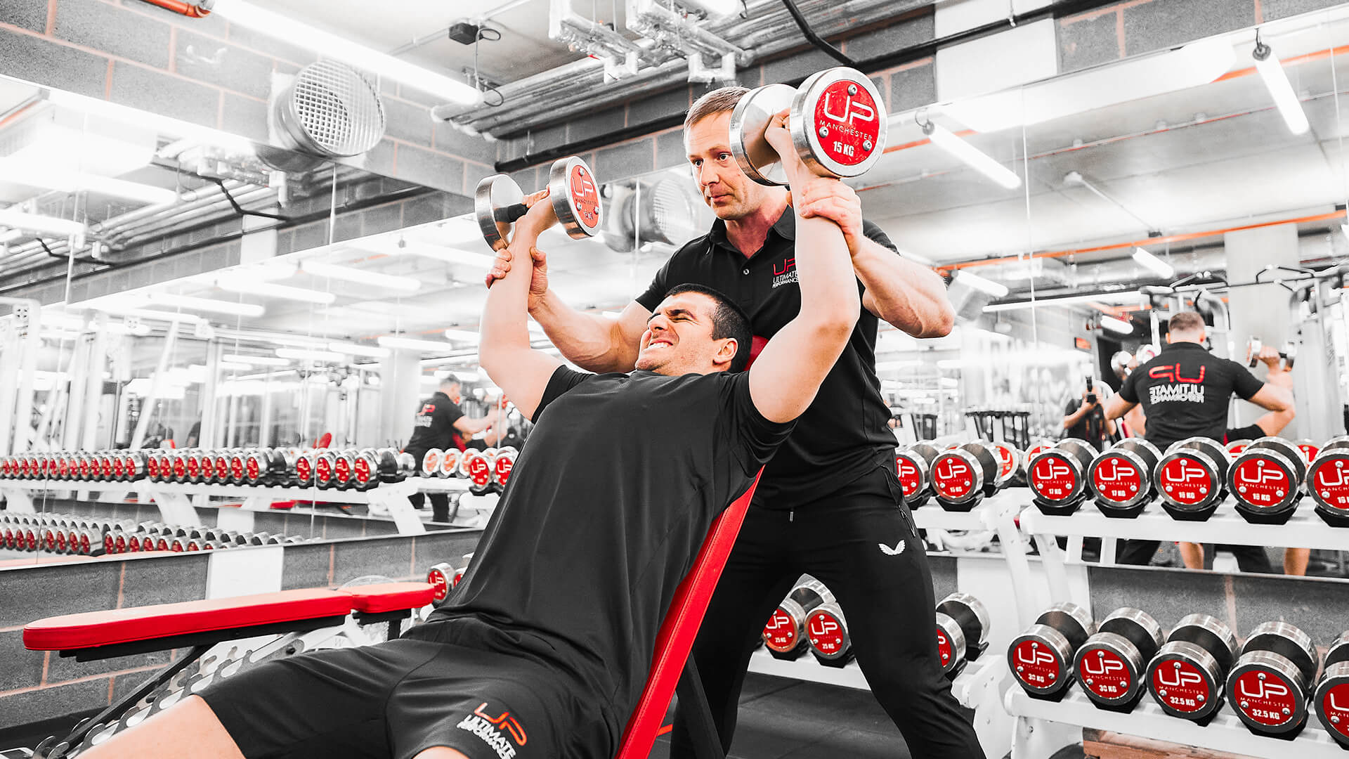 Diet vs. Exercise: The Truth About U.P.'s Body Transformations ...