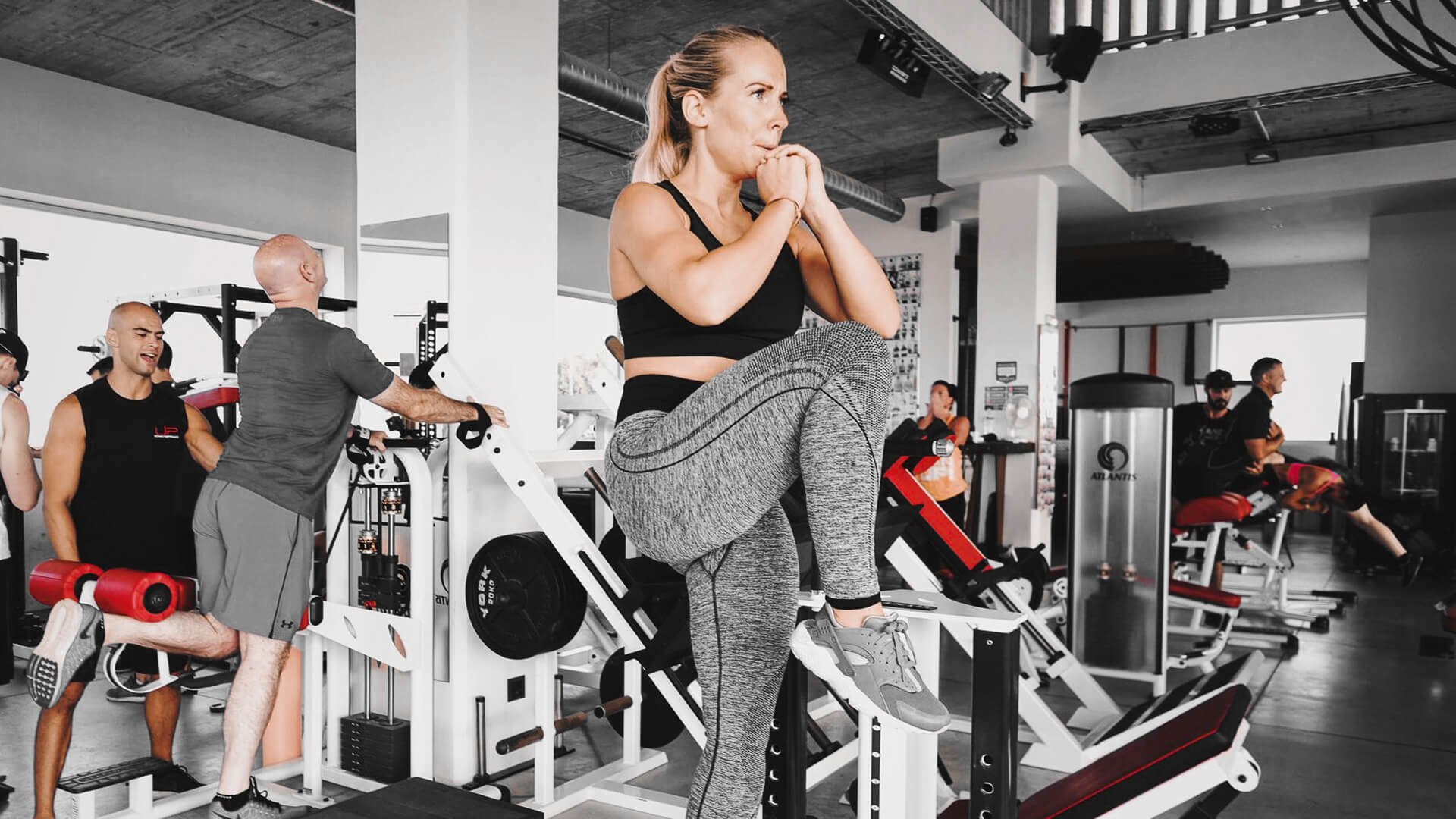 Diet or Training: Which Is More Complicated? (Part 2) | Ultimate ...