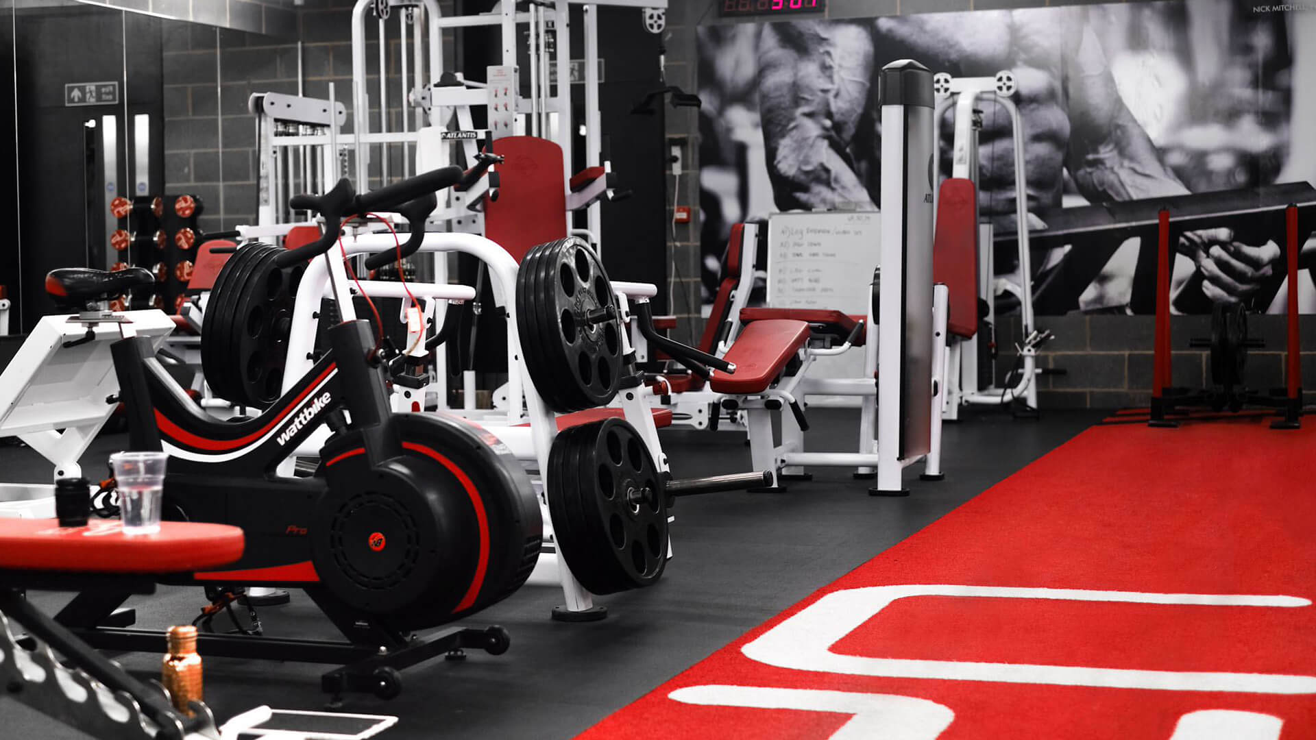 5 Things to Learn from a Body Transformation - Trainer Emily | Ultimate ...