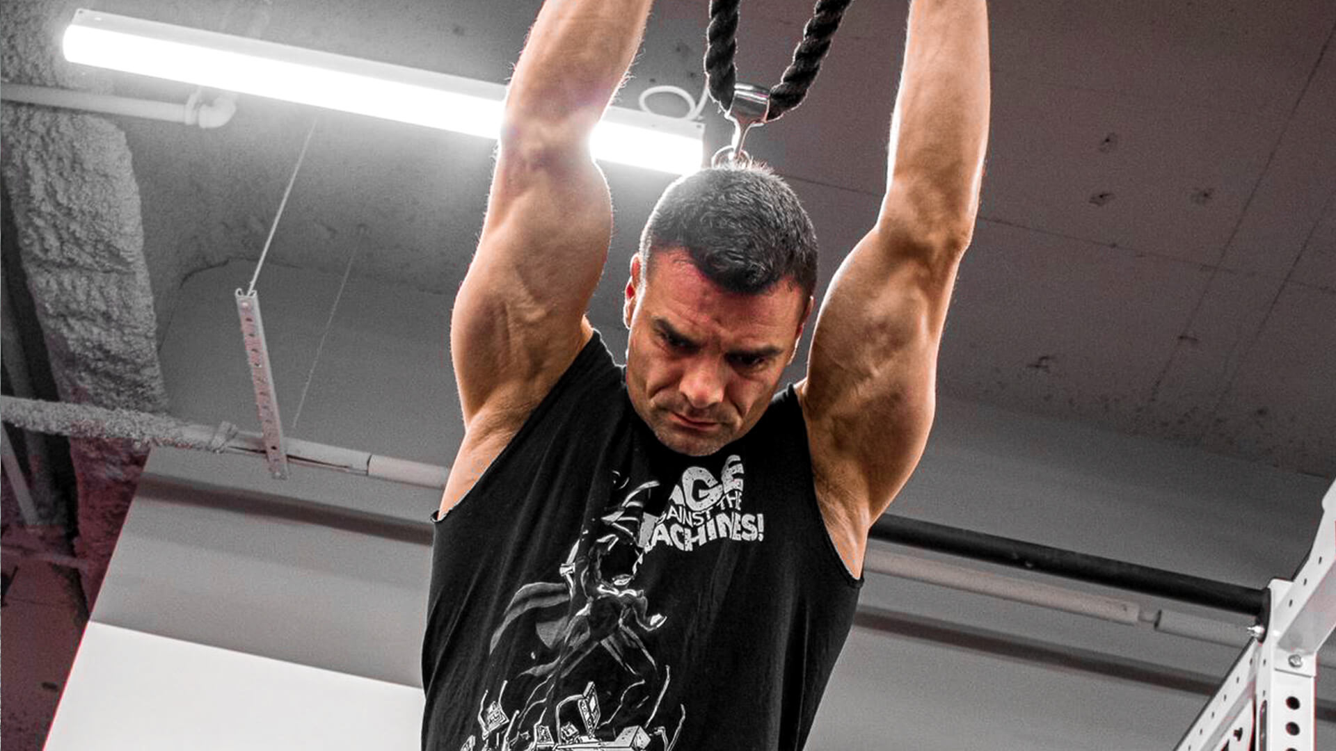 TRAINING MUSCLE GROUPS - TRICEPS | Ultimate Performance Blog